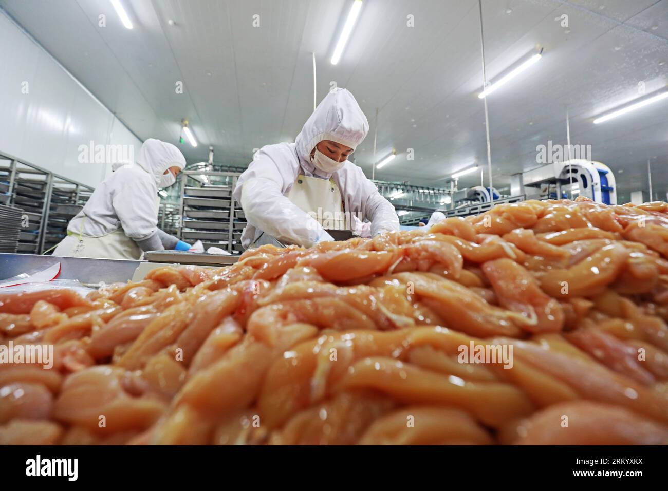 LUANNAN COUNTY, Hebei Province, China - March 17, 2020: The workers are ...