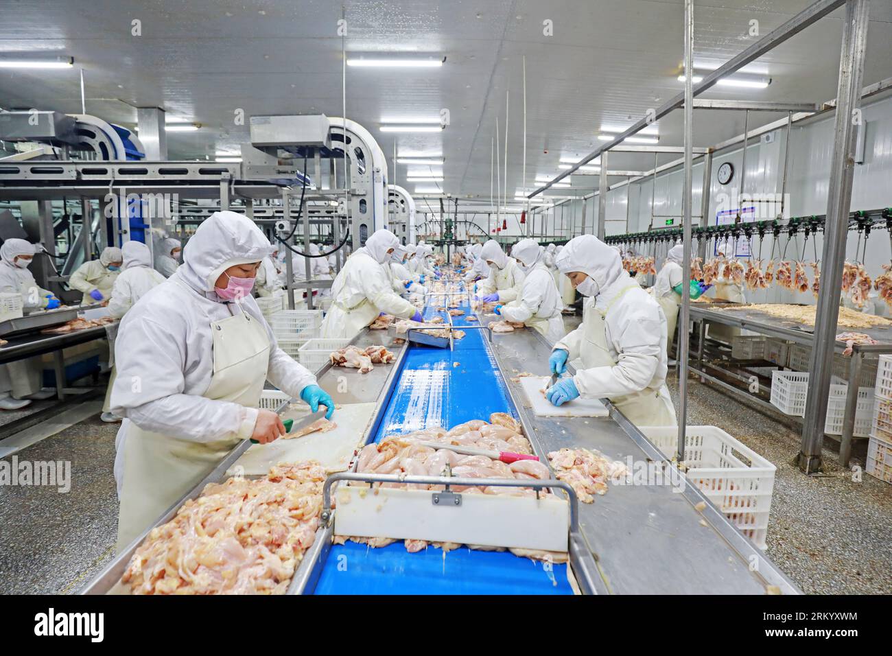LUANNAN COUNTY, Hebei Province, China - March 17, 2020: The workers are ...
