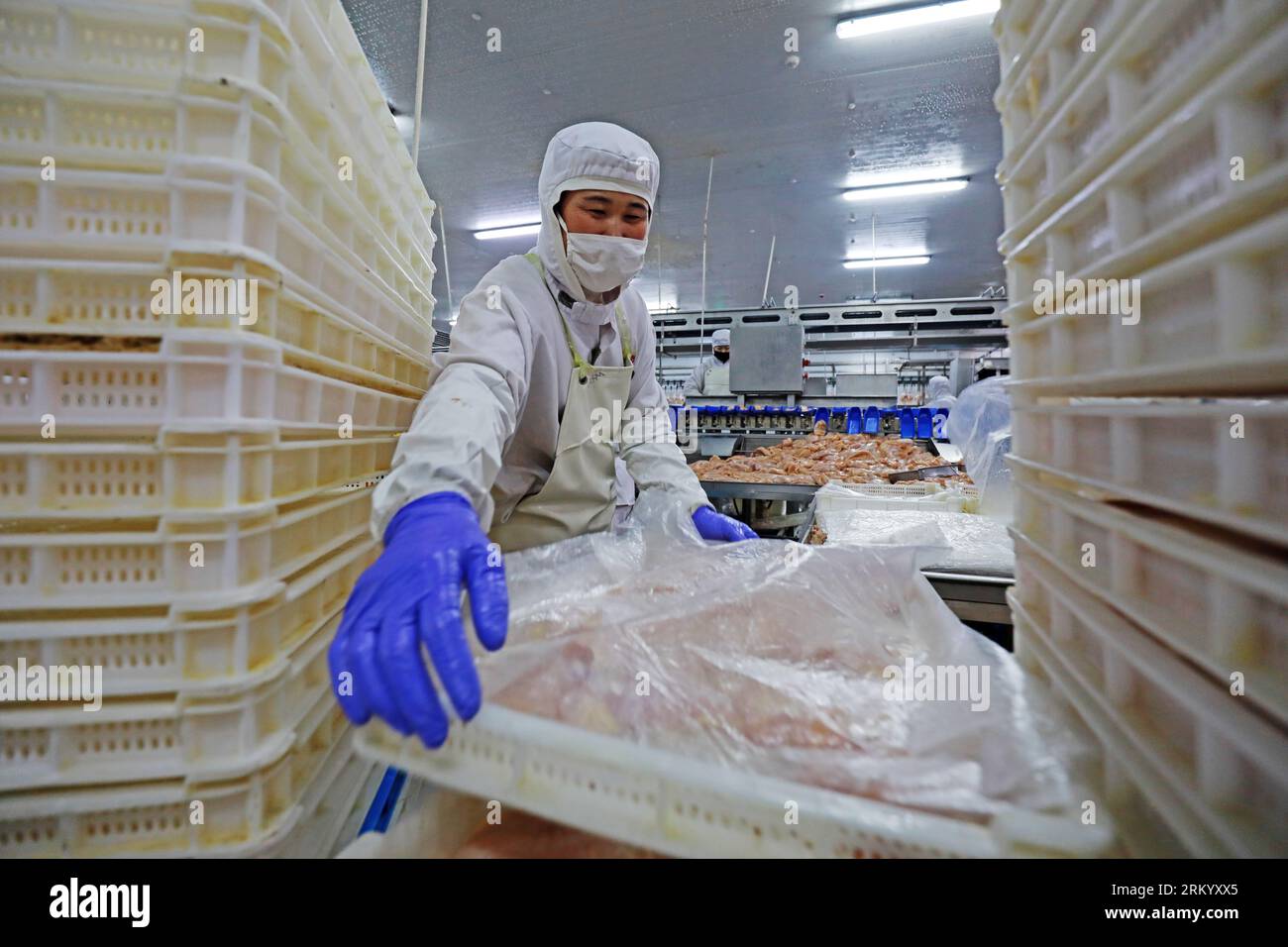LUANNAN COUNTY, Hebei Province, China - March 17, 2020: The workers are ...