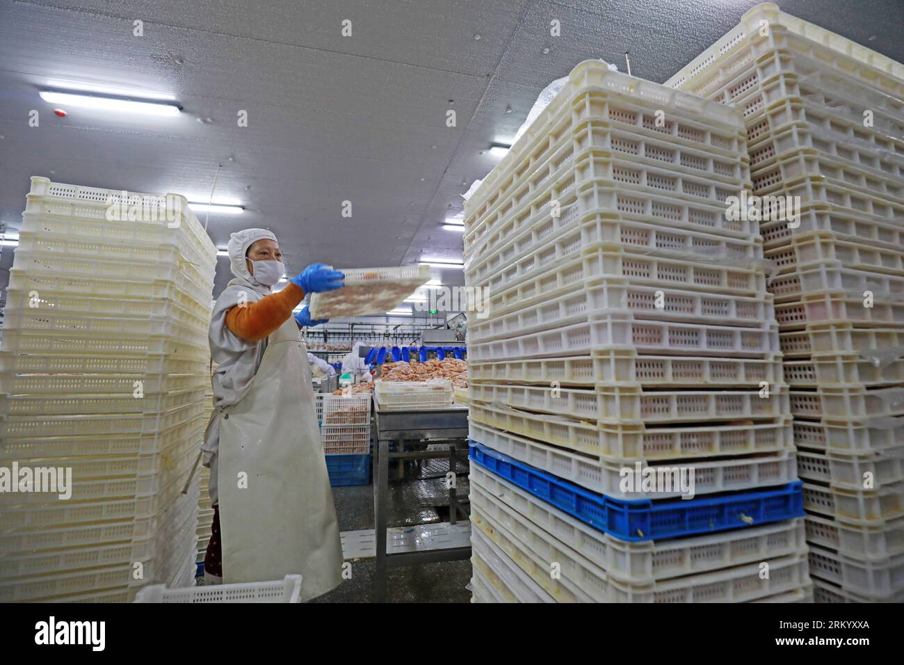 LUANNAN COUNTY, Hebei Province, China - March 17, 2020: The workers are ...