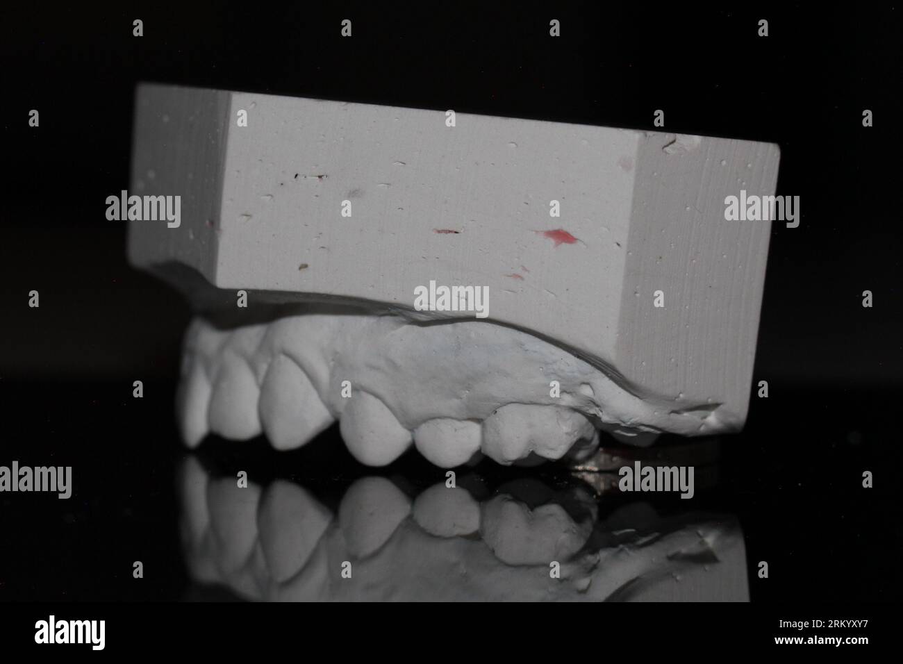 dental technician model orthosis resin wax tooth Stock Photo - Alamy
