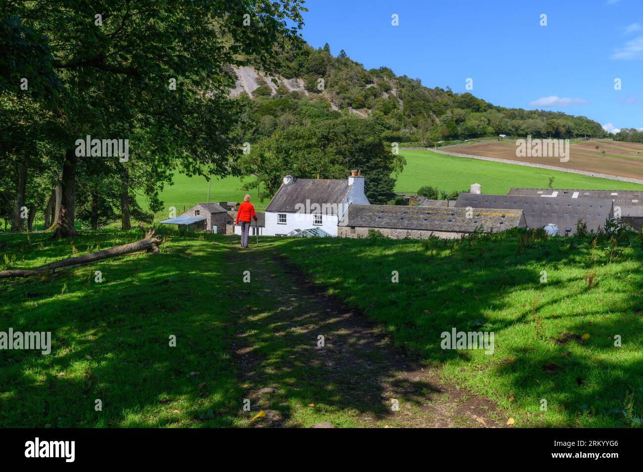 Arnside Tower Farm and Arnside Knott, Cumbria Stock Photo - Alamy