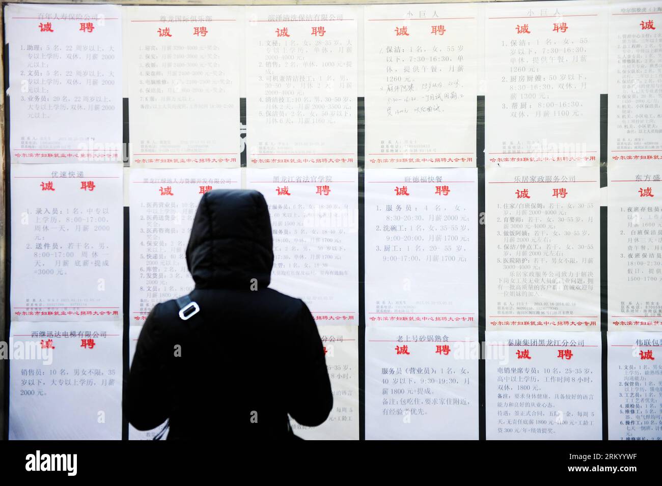 Job seeker checks in hi-res stock photography and images - Alamy