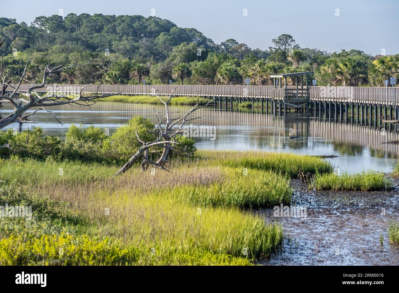 Big Talbot Island State Park boardwalk on Spoonbill Pond along Florida ...