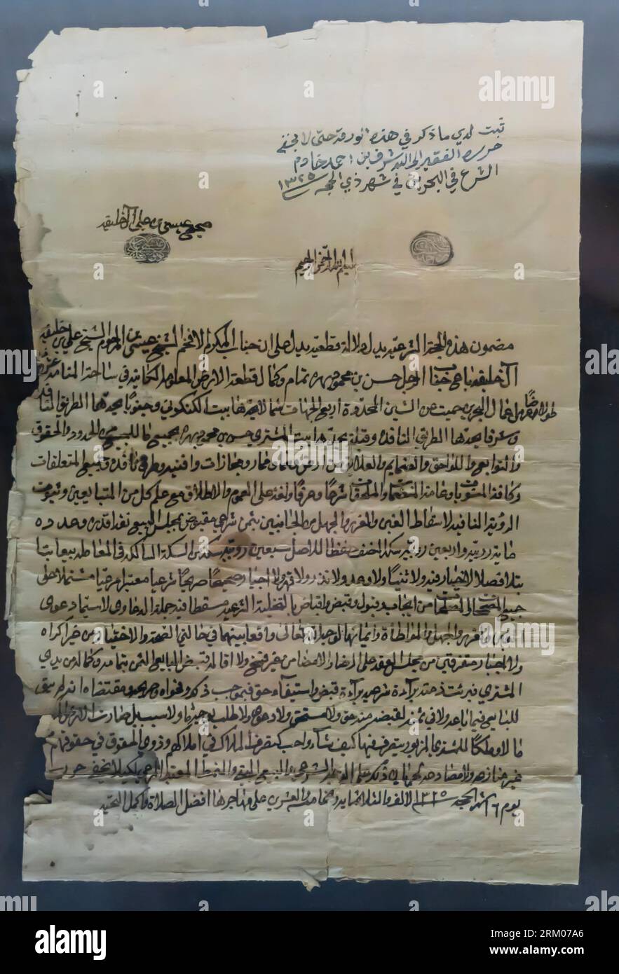 Mahmoud ali hi-res stock photography and images - Alamy