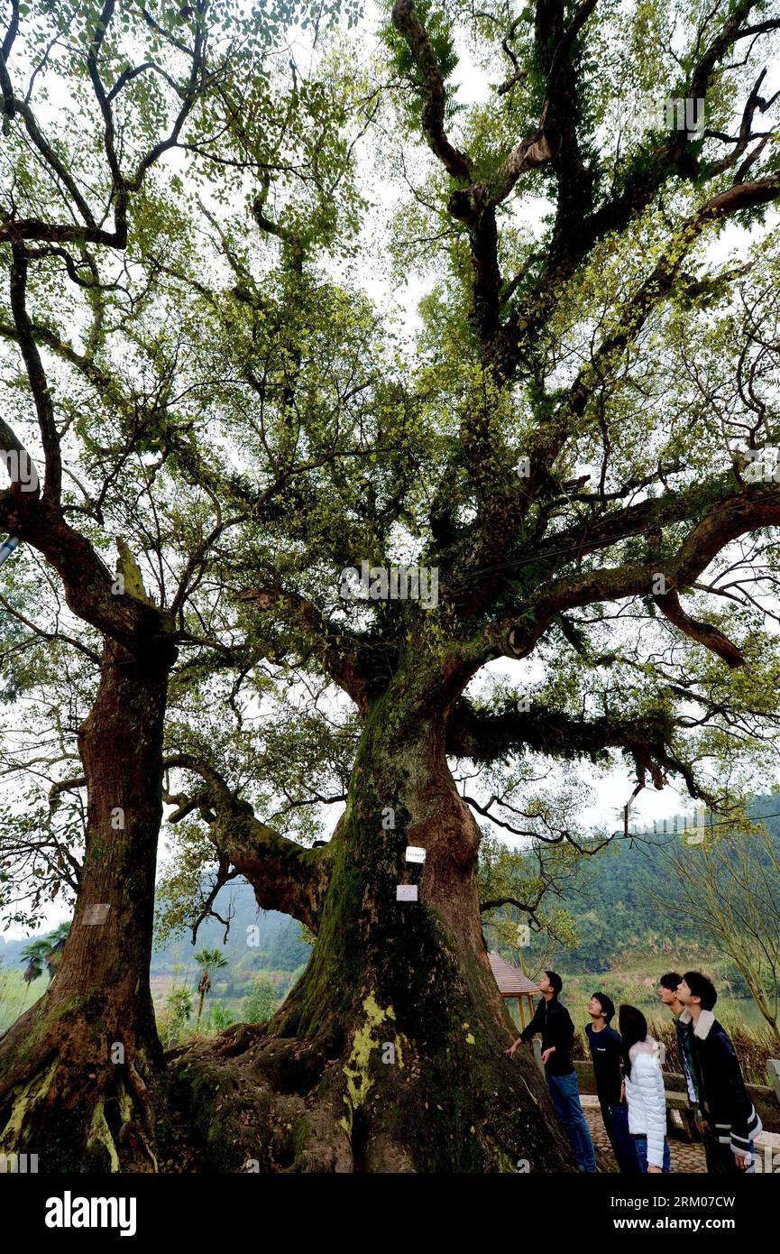 Bildnummer: 59338573 Datum: 01.03.2013 Copyright: imago/Xinhua JIANYANG ...