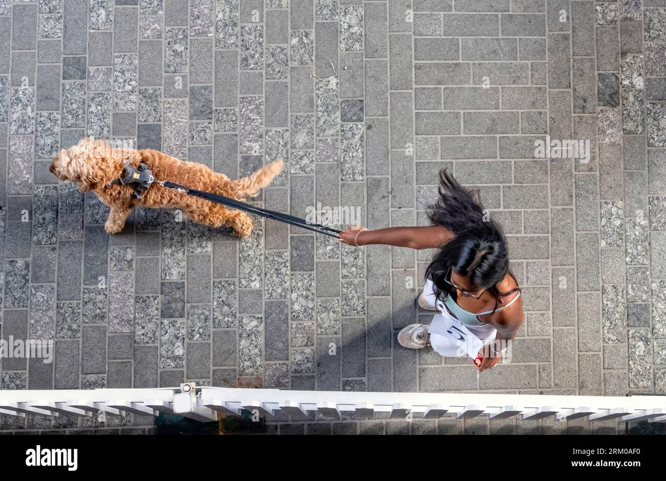 Big woof festival kings cross hi-res stock photography and images - Alamy