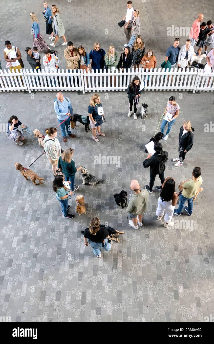 Big woof festival kings cross hi-res stock photography and images - Alamy