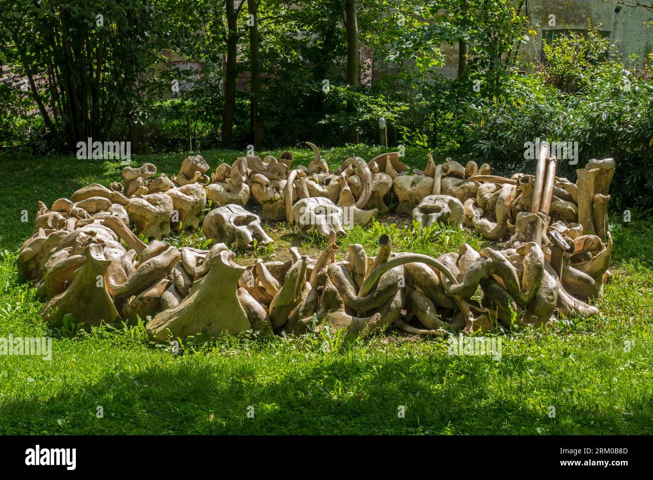 Prehistoric mammoth hut hi-res stock photography and images - Alamy