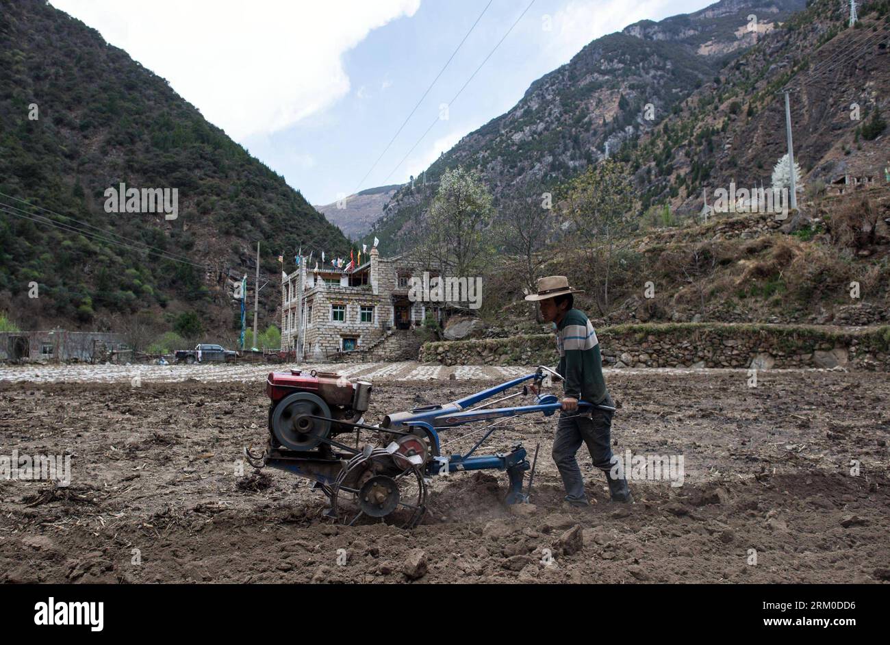 Wengu hi-res stock photography and images - Alamy