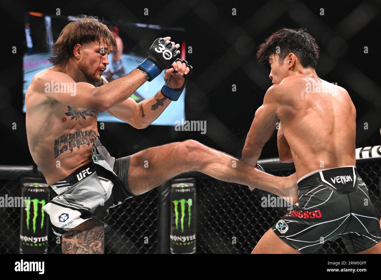 Choi seungwoo hi-res stock photography and images - Alamy