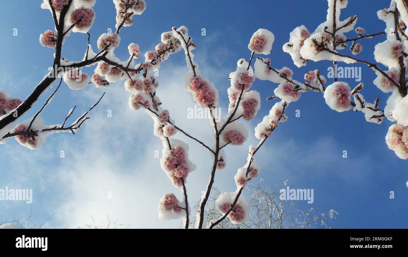 Chunfen china hi-res stock photography and images - Alamy