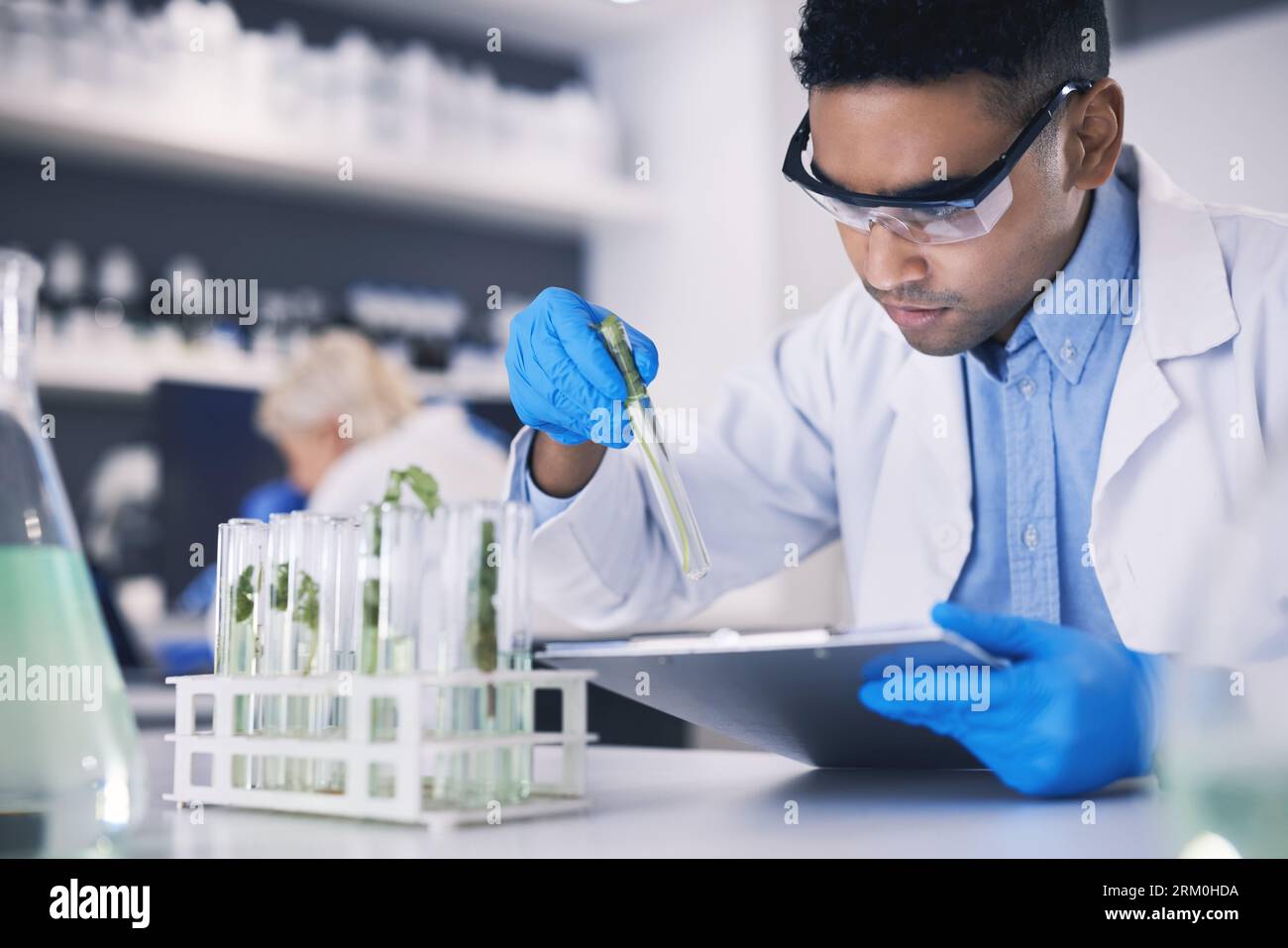 Science, plants and man with checklist in laboratory, research and ...