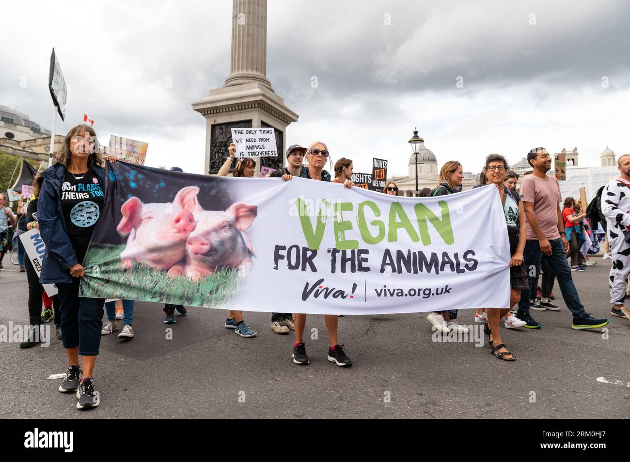 Justice for animals hi-res stock photography and images - Alamy