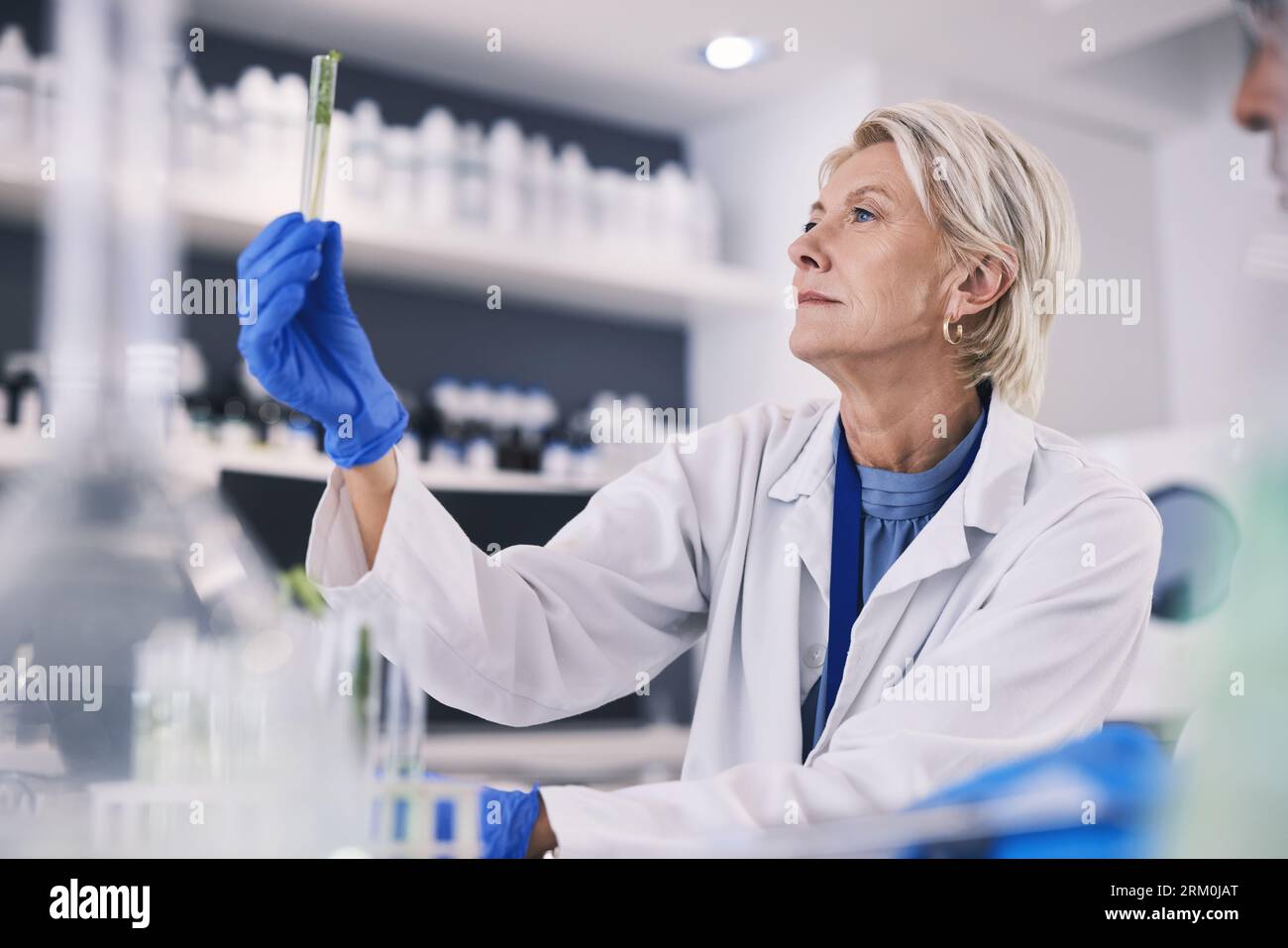 Science, leaves in test tube and mature woman in laboratory, research ...