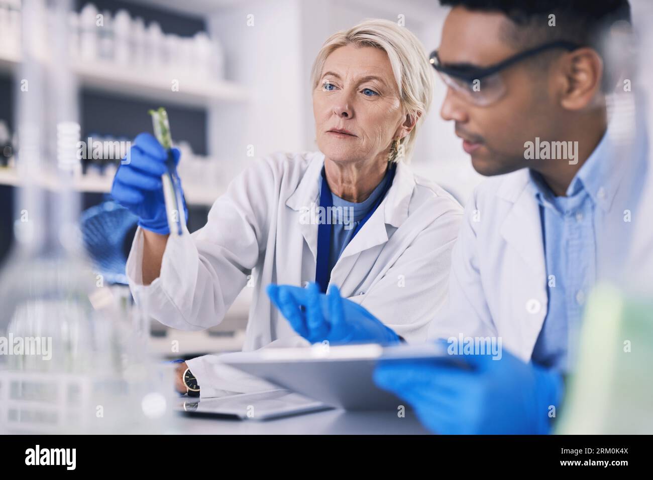 Agro laboratory hi-res stock photography and images - Alamy