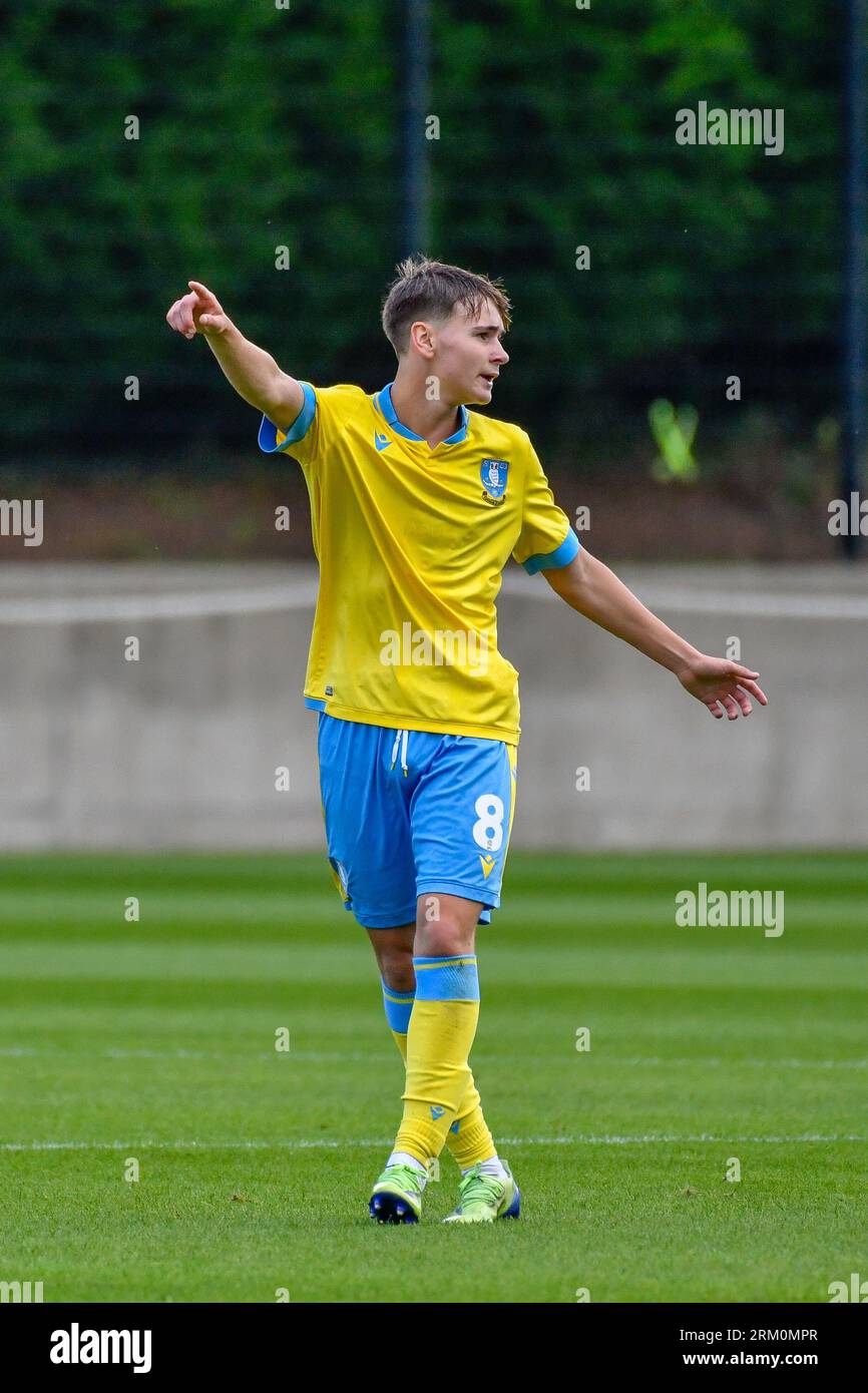 Hunt in teams hi-res stock photography and images - Alamy