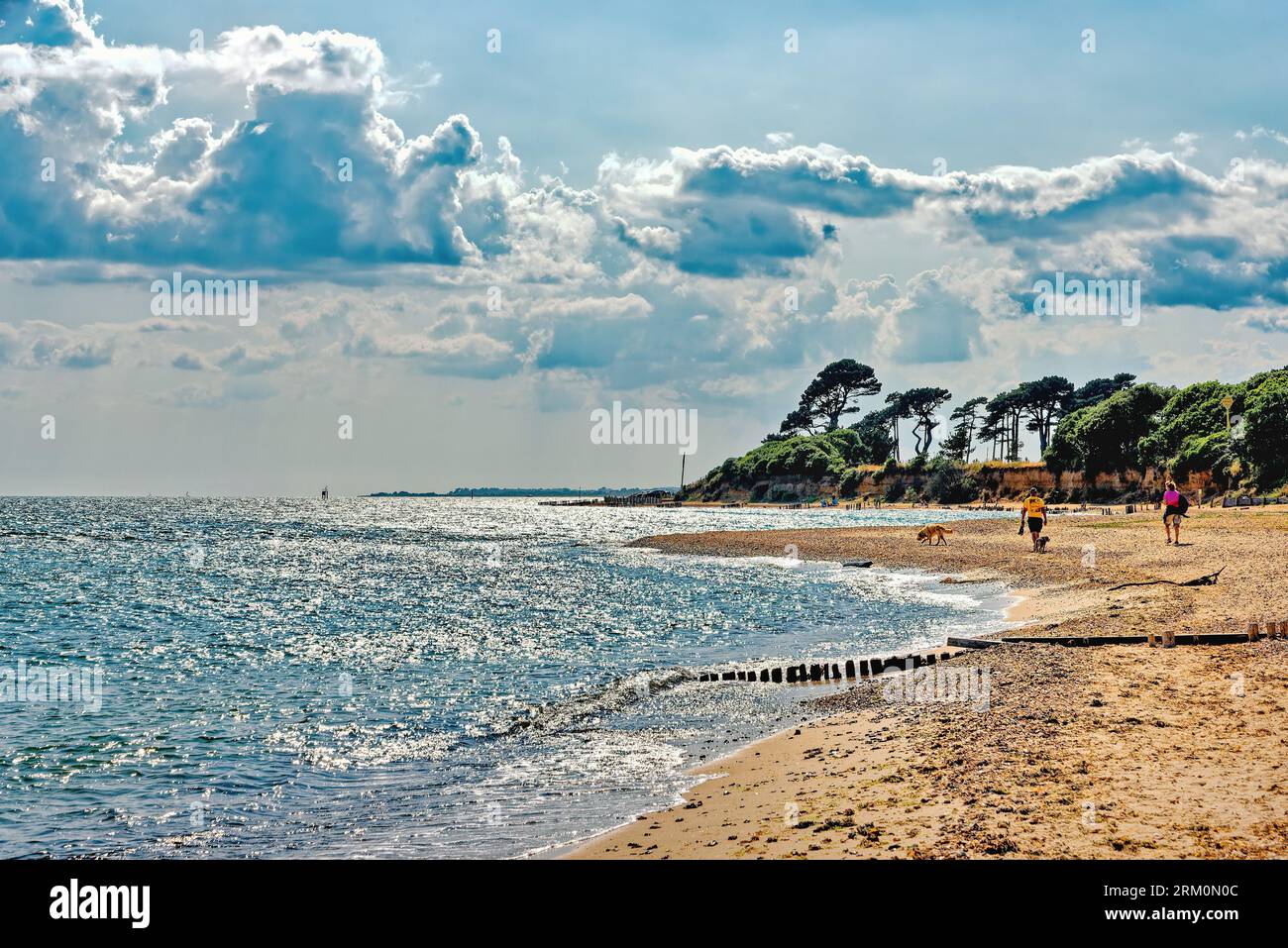 The beach and coastline at Lepe country park on a sunny and hot summers ...