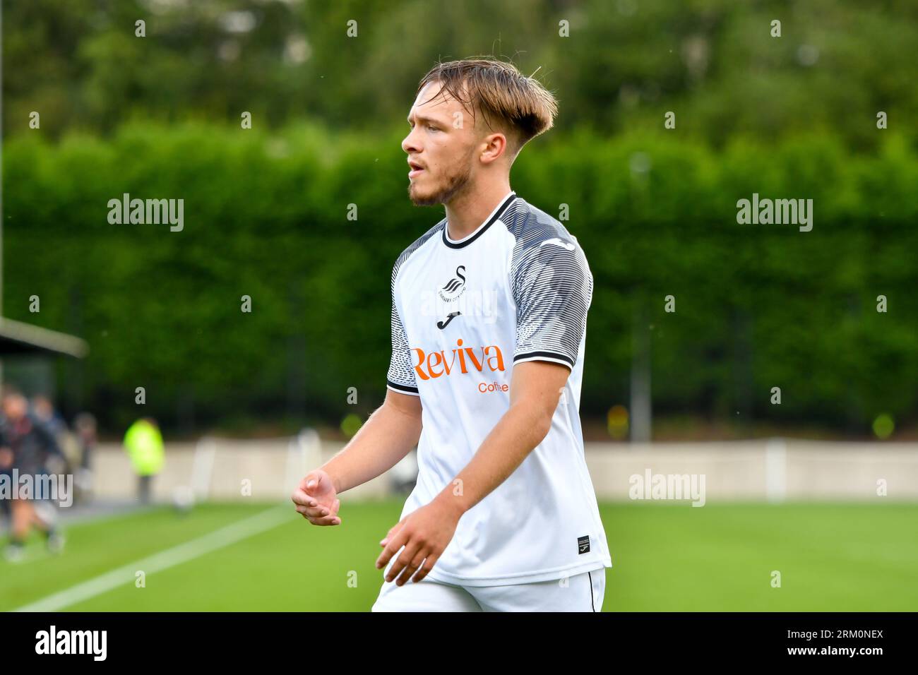 Sheffield wednesday 2023 hi-res stock photography and images - Alamy