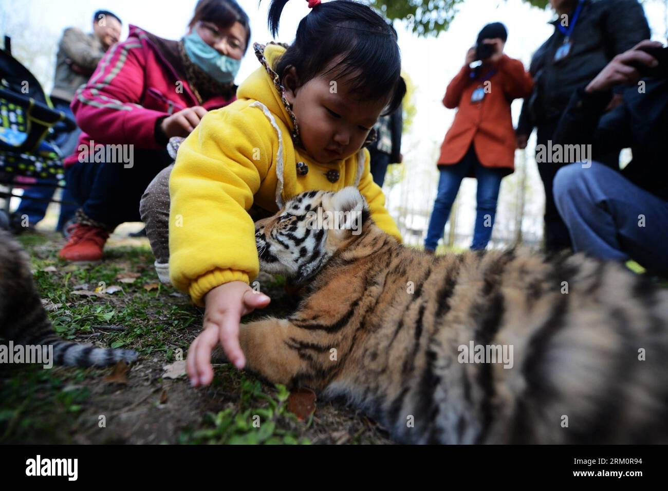 Zhuyuwan zoo hi-res stock photography and images - Alamy