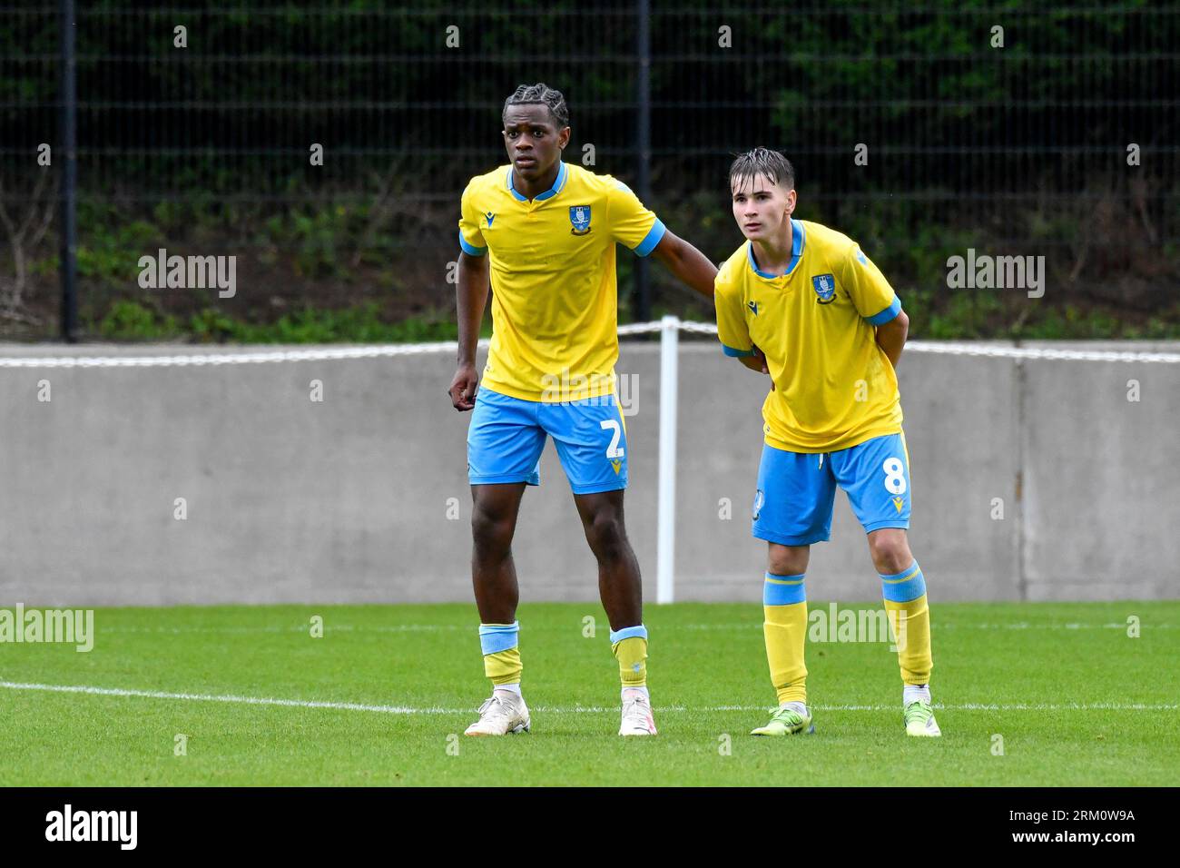 Hunt in teams hi-res stock photography and images - Alamy