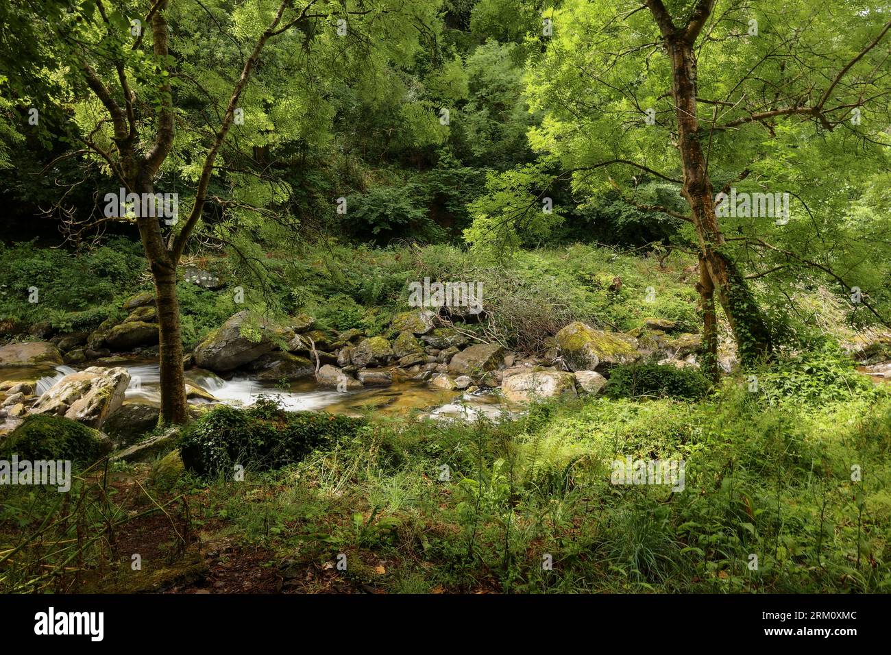 Devon background hi-res stock photography and images - Alamy