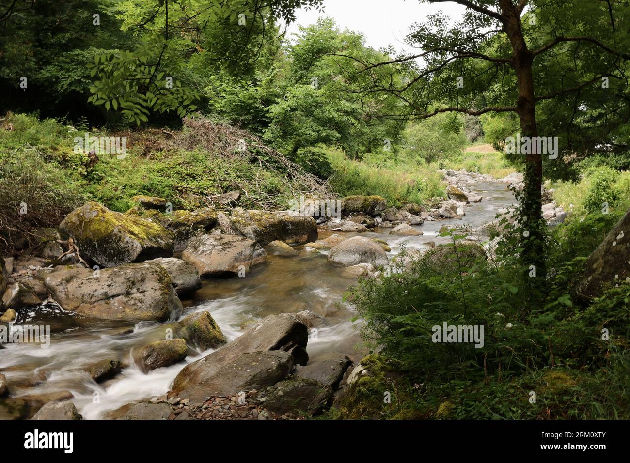 Devon background hi-res stock photography and images - Alamy