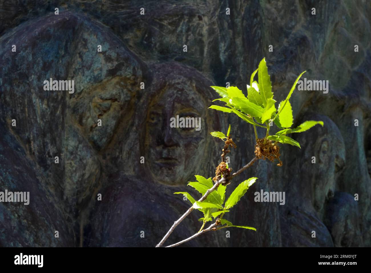 Jewish rebirth hi-res stock photography and images - Alamy