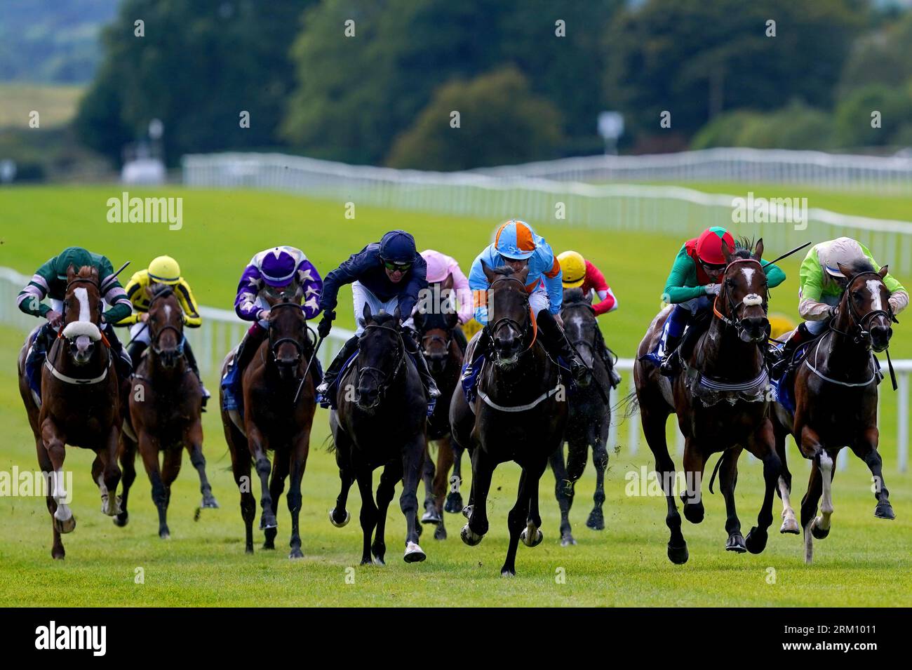 Silks day 2023 hi-res stock photography and images - Alamy