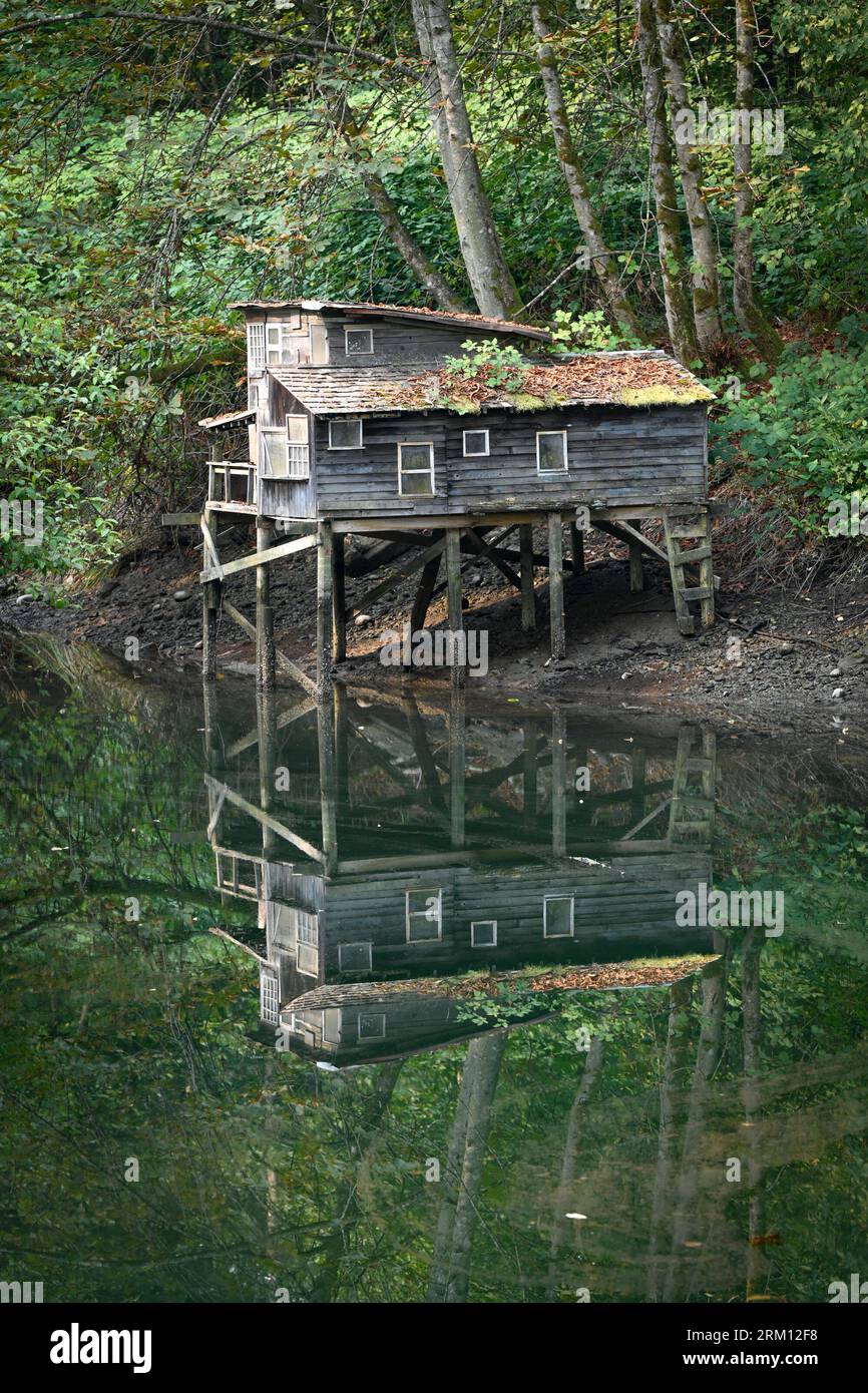 Squatters shack art installation by Ken Lum, Maplewood Flats ...