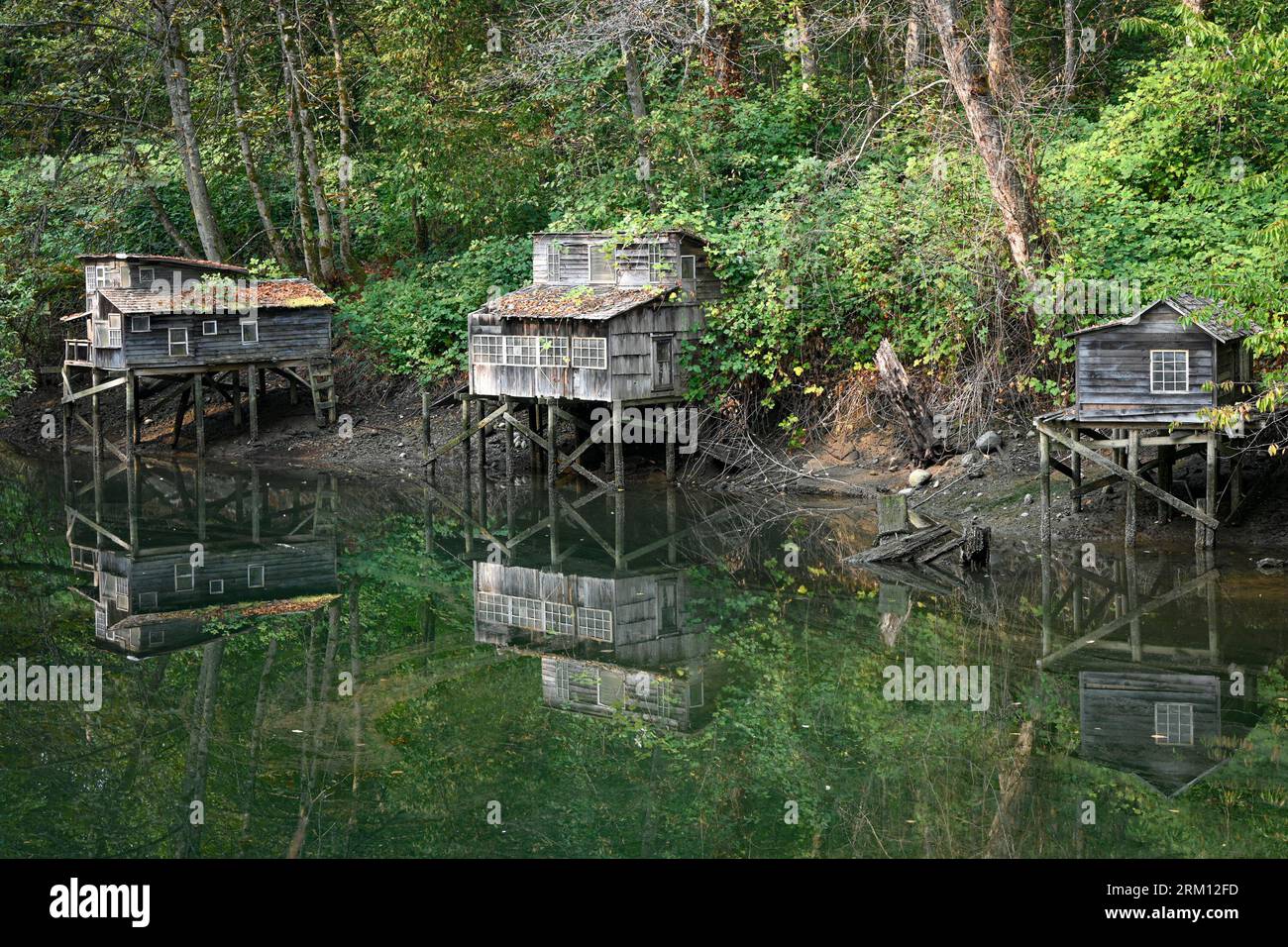 Squatters shack art installation by Ken Lum, Maplewood Flats ...