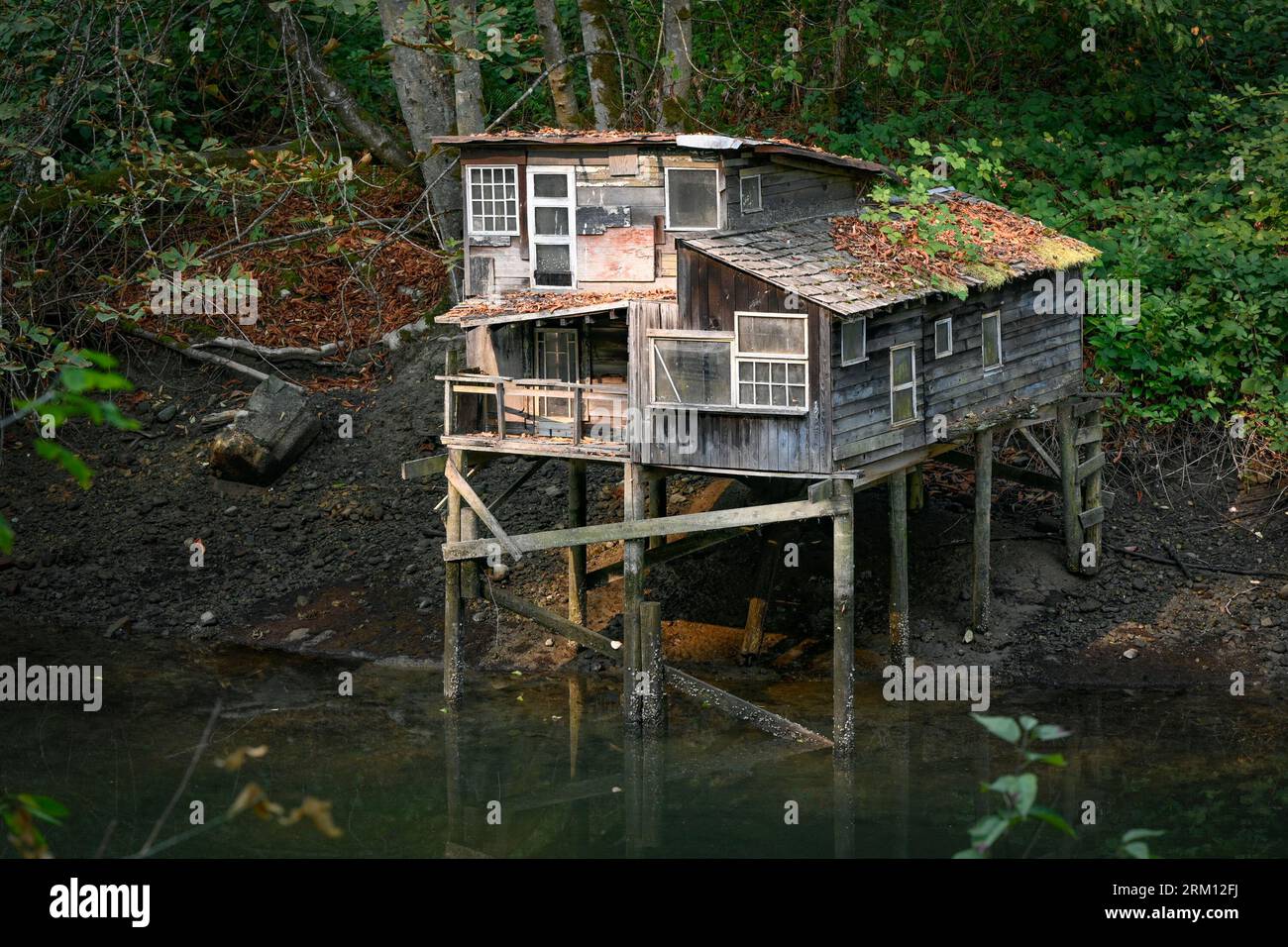 Squatters shack art installation by Ken Lum, Maplewood Flats ...