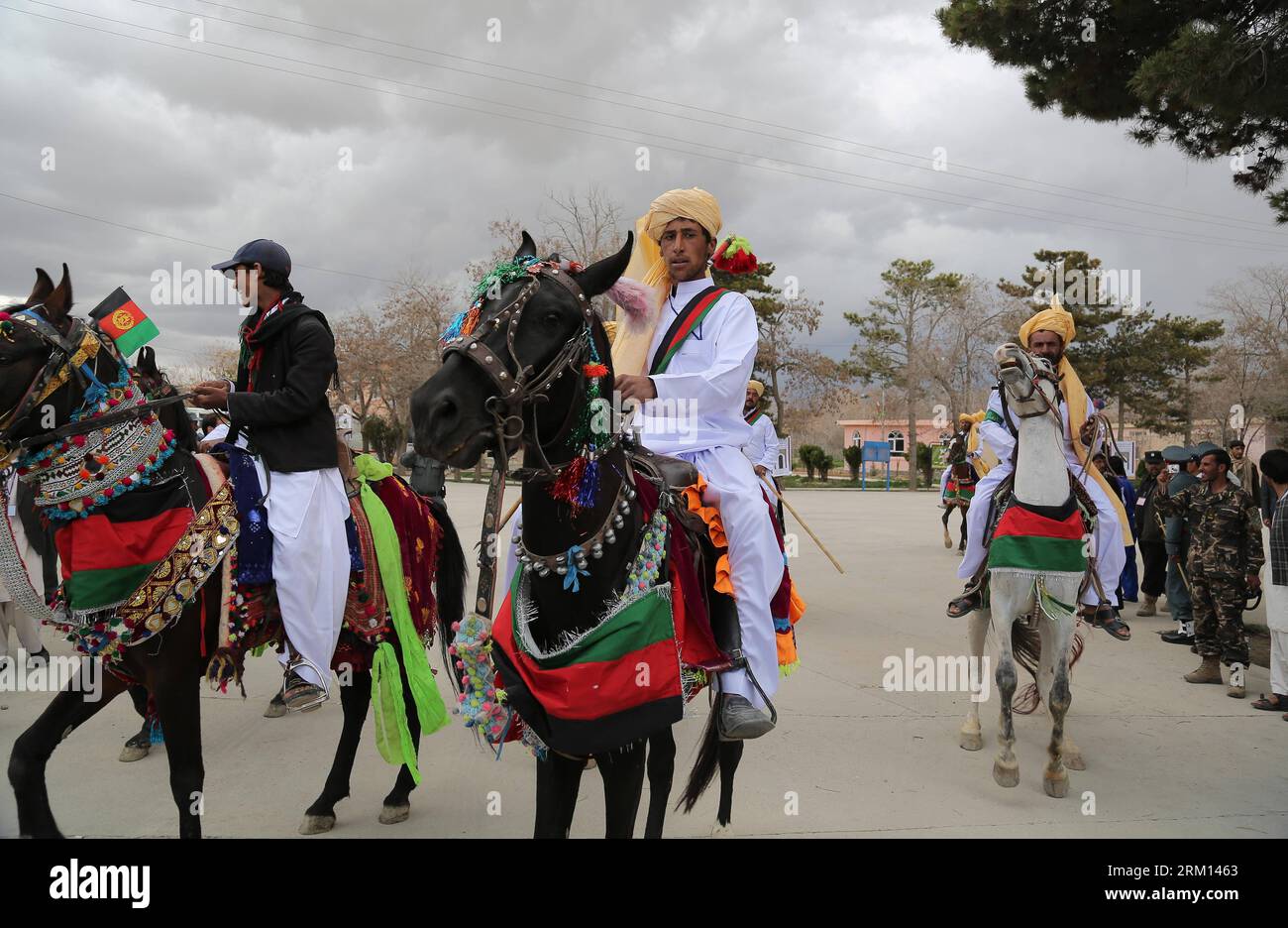 Libya horses hi-res stock photography and images - Alamy