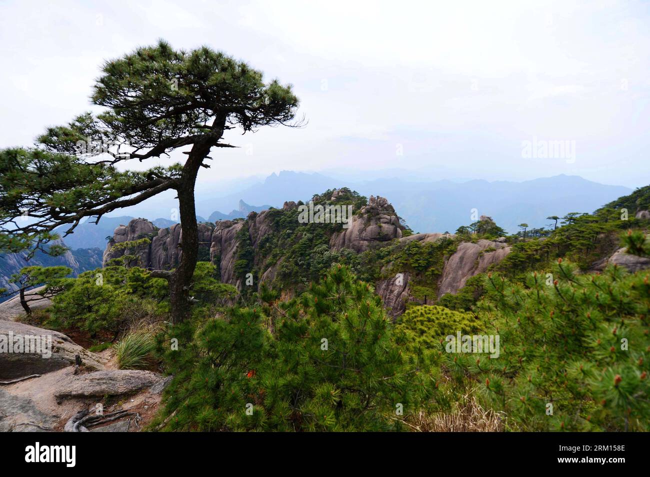 Three pure ones hi-res stock photography and images - Alamy