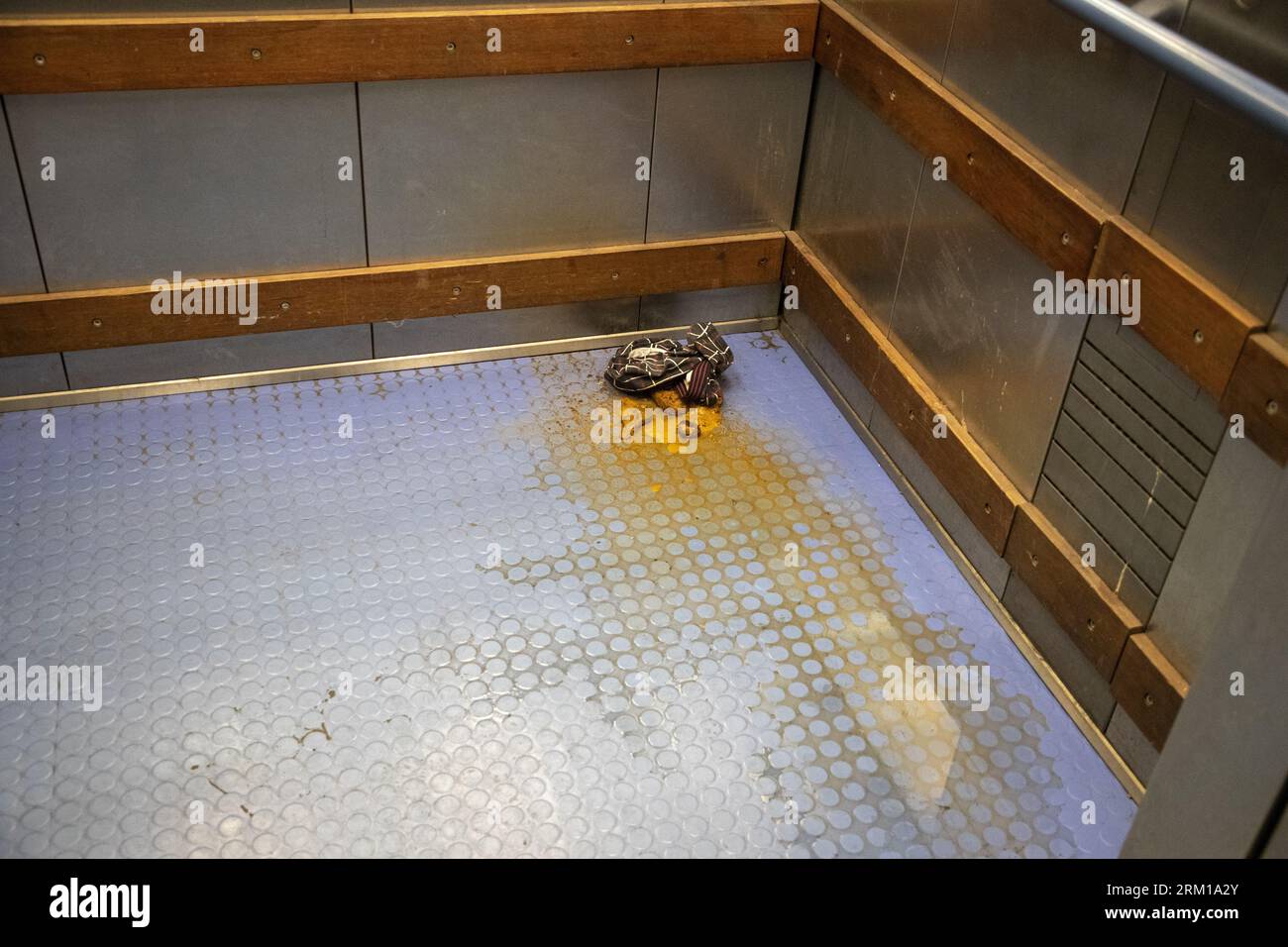 Feces on a hi-res stock photography and images - Alamy