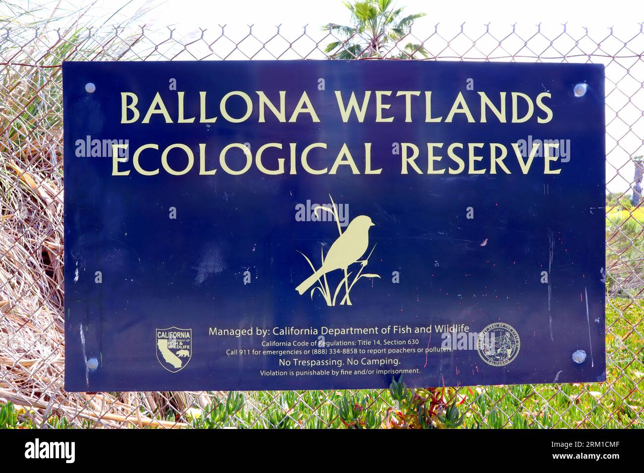 Marina del Rey (Los Angeles), California: BALLONA CREEK Wetlands ...