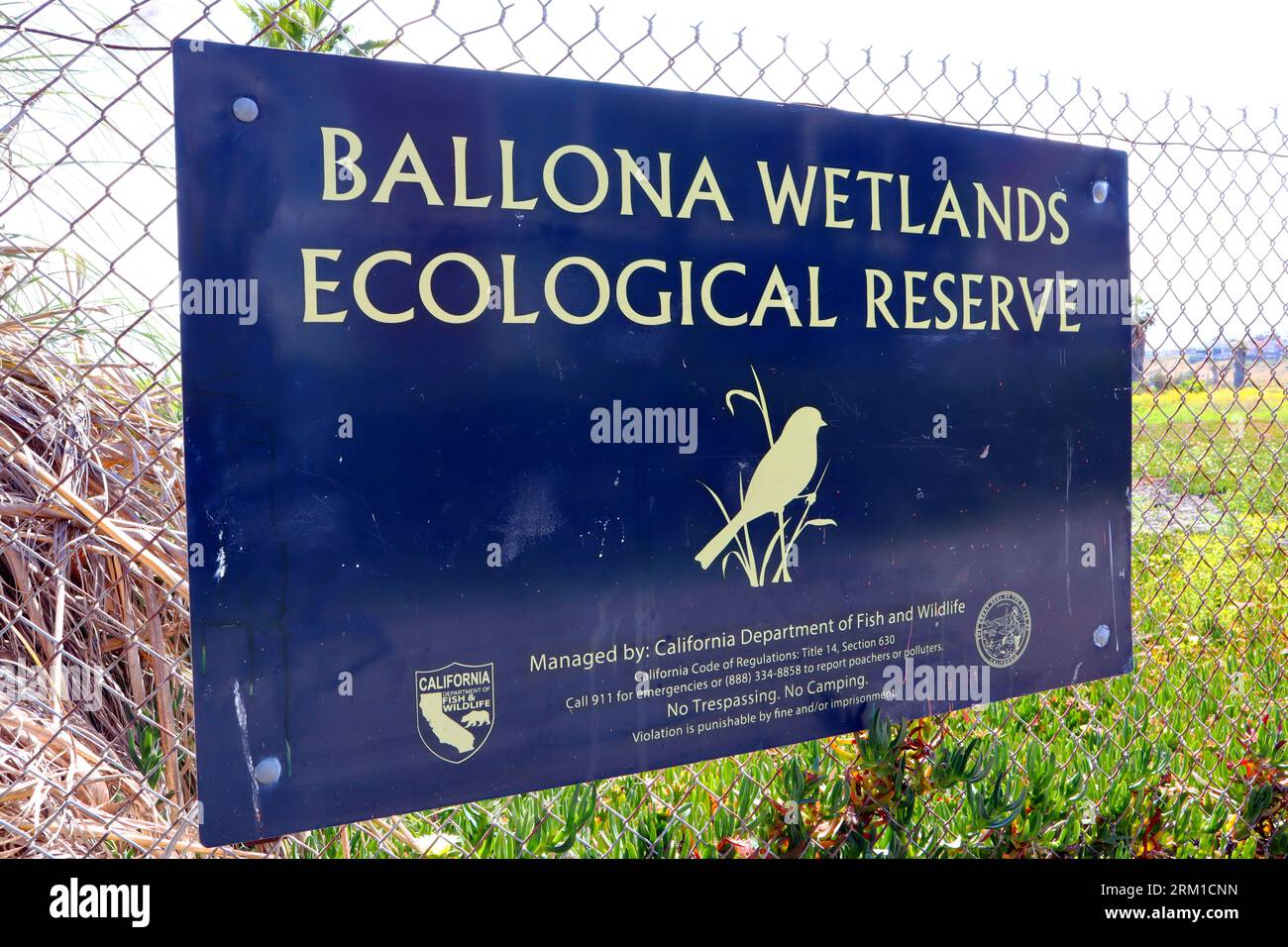 Marina del Rey (Los Angeles), California: BALLONA CREEK Wetlands ...