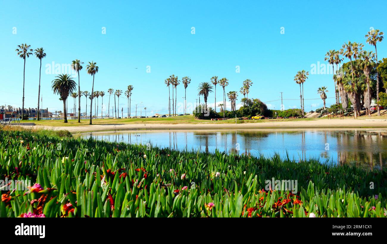 Playa del Rey (Los Angeles), California: Del Rey Lagoon Park in the ...