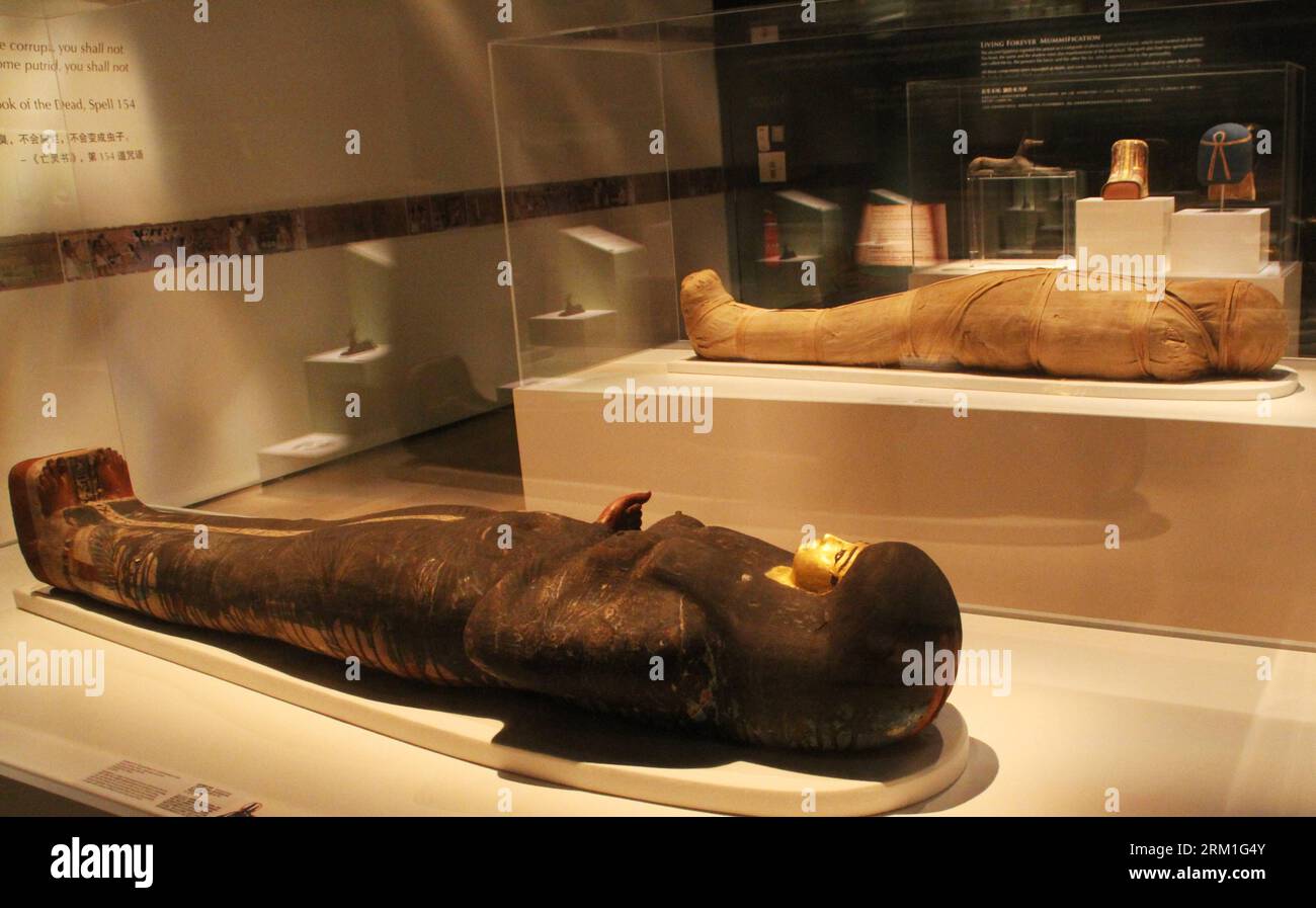 Egyptian mummies in british museum hi-res stock photography and images ...