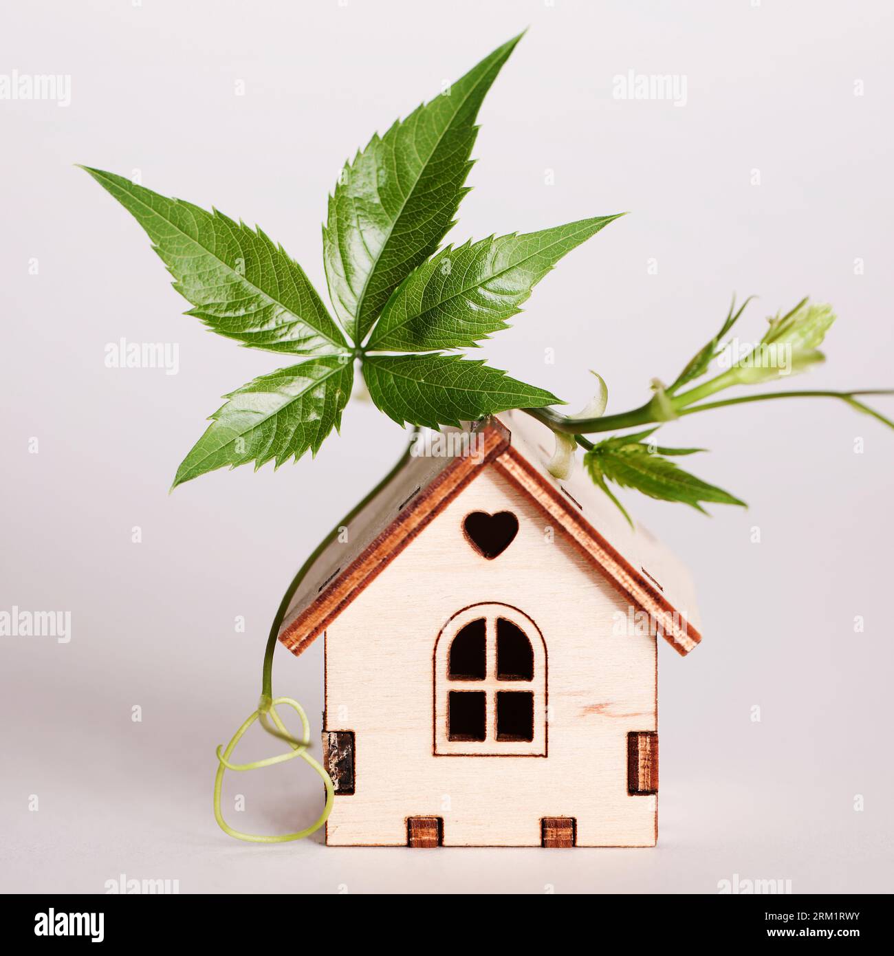 retrofit movement, future proofing homes, net zero carbon, adapting ...