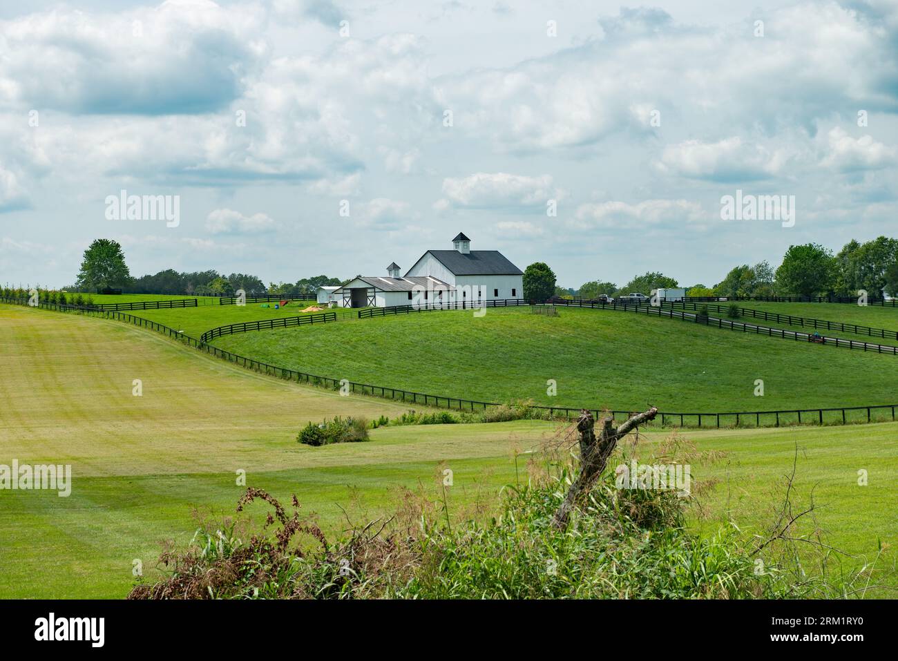 Horse barn in Lexington Kentucky Stock Photo - Alamy