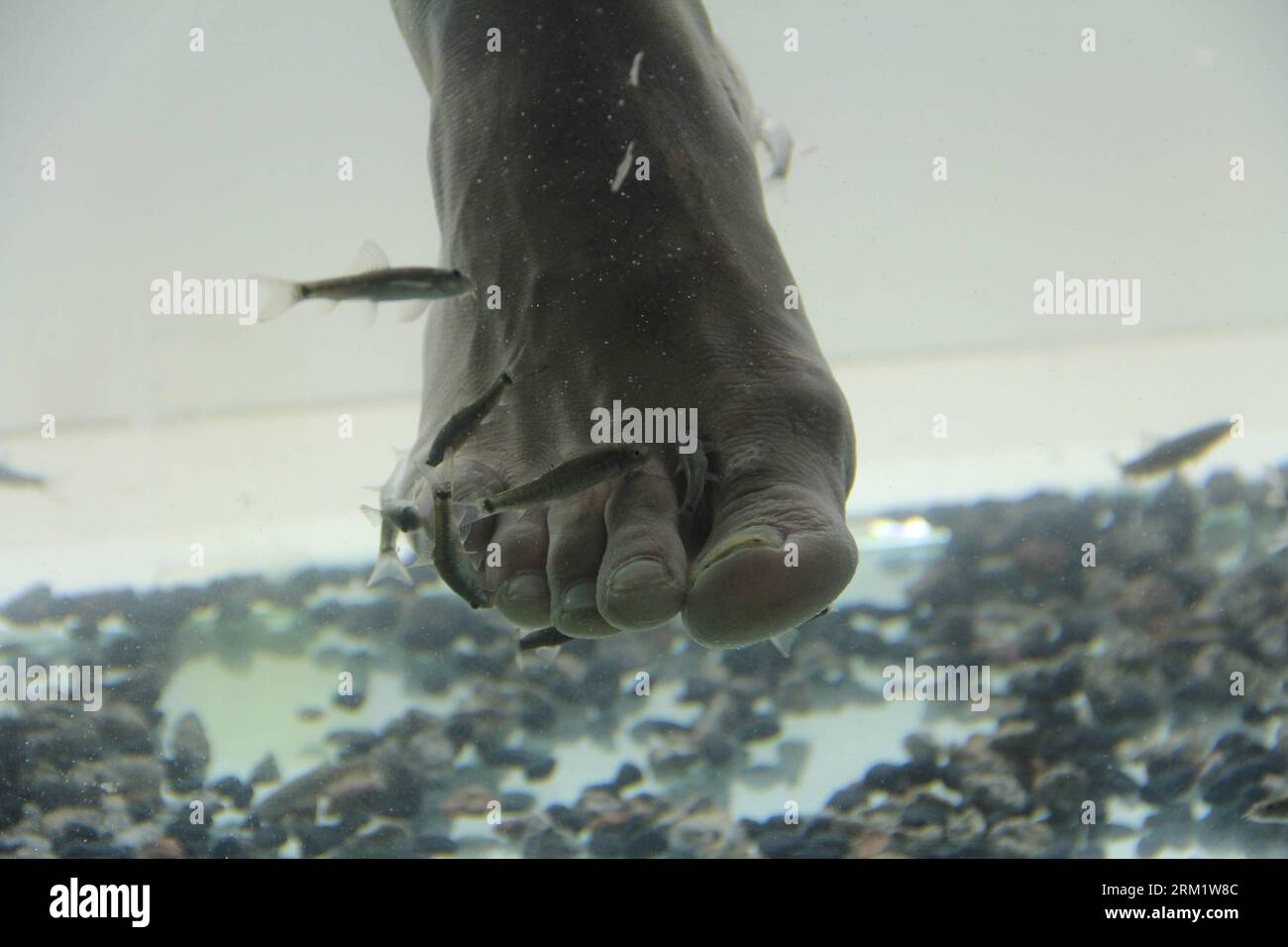 Remove dead skin hi-res stock photography and images - Alamy