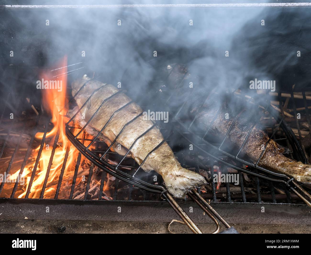 Two whole trout fish being grilled on barbecue Stock Photo - Alamy