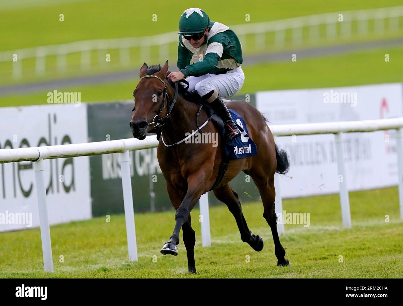 Asian Daze ridden by jockey Danny Sheehy on their way to winning the ...