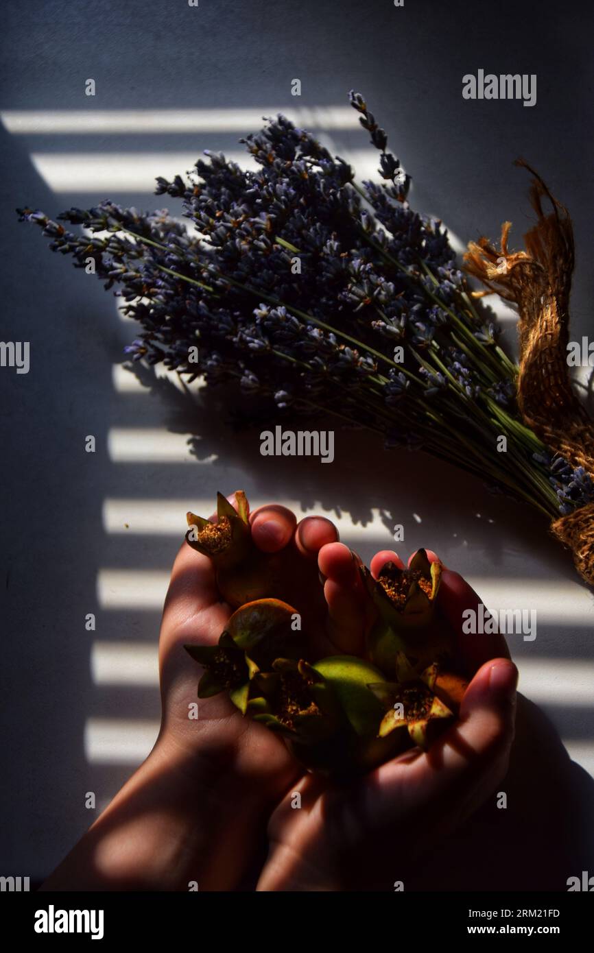 “In the right light, at the right time, everything is extraordinary ...