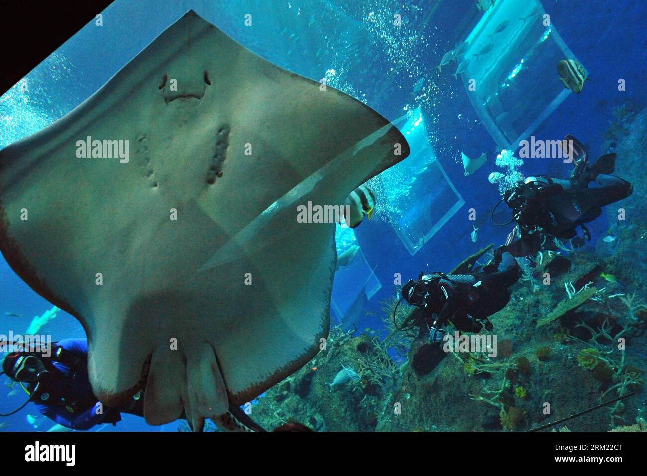 Rws certified hi-res stock photography and images - Alamy