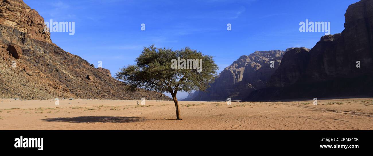 Overview of the desert at Wadi Rum, Unesco World Heritage Site, Jordan ...