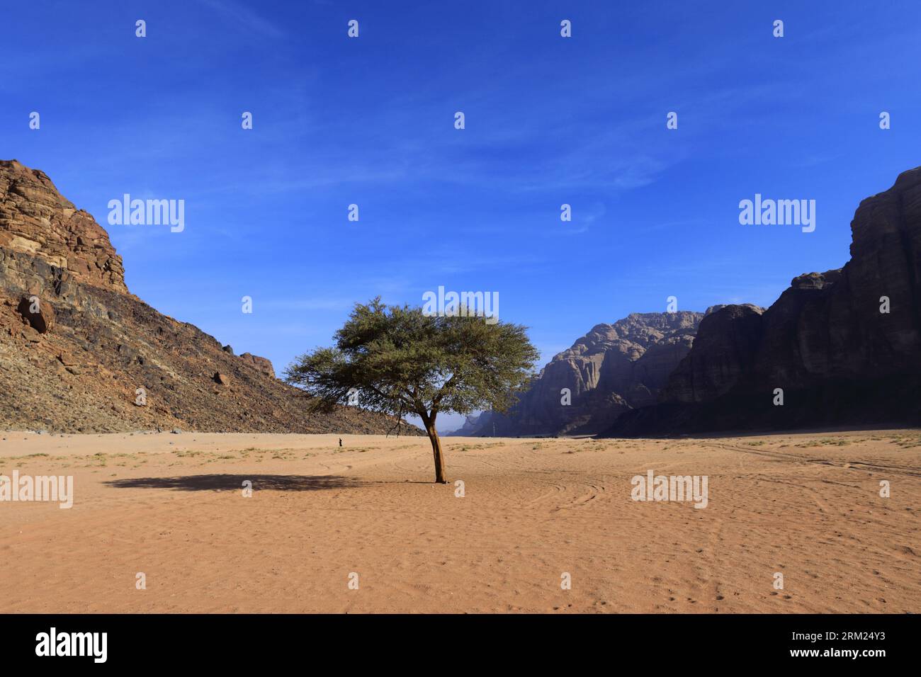 Overview of the desert at Wadi Rum, Unesco World Heritage Site, Jordan ...