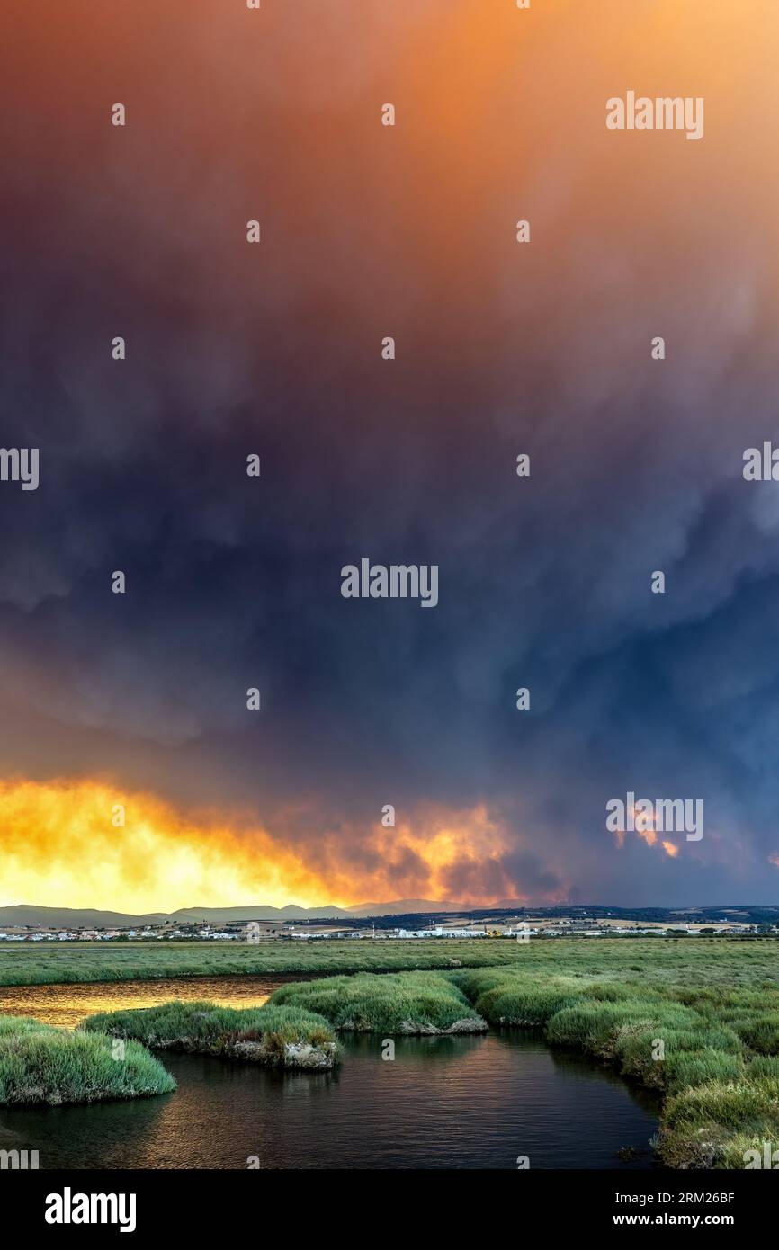 Devastating wildfire in Alexandroupolis Evros Greece, ecological and ...