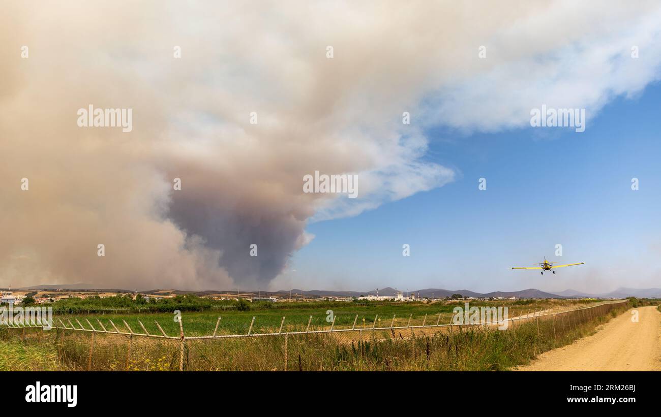 Devastating wildfire in Alexandroupolis Evros Greece, ecological and ...